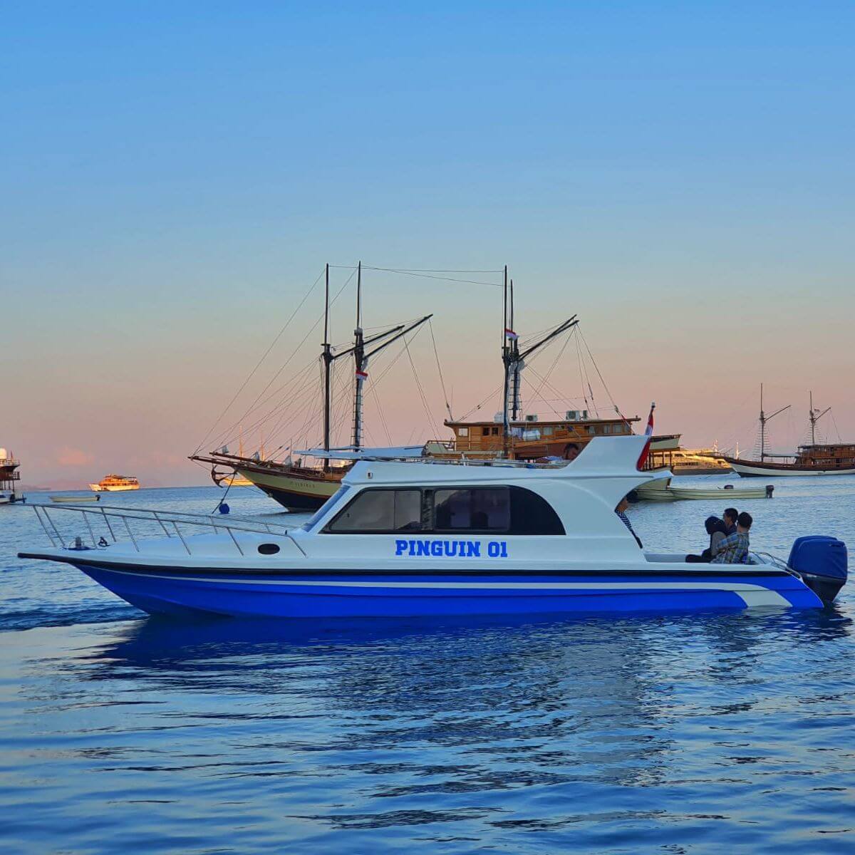 Sewa Speed Boat Pinguin 1 - Trans Flores Komodo